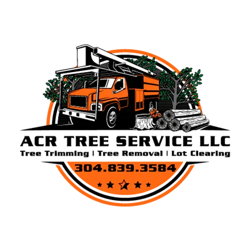 View Our Portfolio - ACR Tree Services LLC